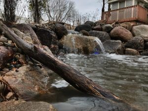 Backyard Pond Ideas to Enhance Your Des Moines Yard